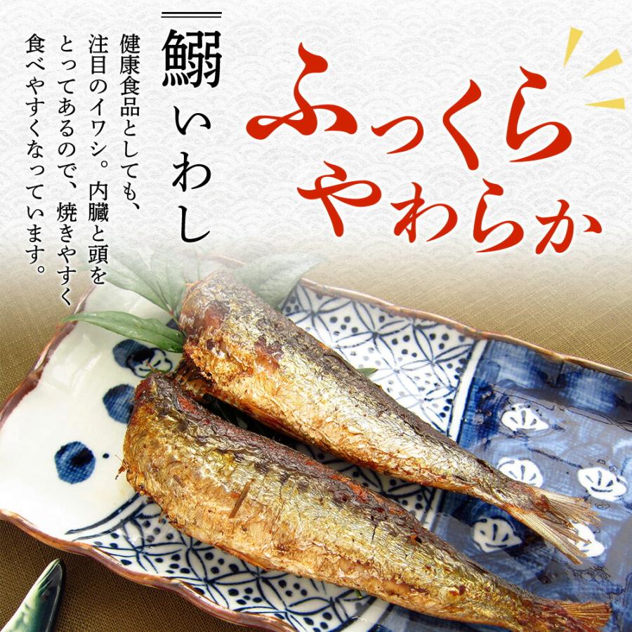 北国からの贈り物 干物 北海道産 いわし魚醤干し140g 10パック 海鮮 ギフト セット 鰯 イワシ いわし 魚 : 北海道市場「北国からの贈り物」 - 通販 - Yahoo!ショッピング