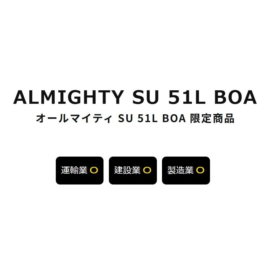 25-29cm F1GA241227 F1GA241244 オールマイティ 限定カラー MIZUNO 安全靴 ALMIGHTY SU51L BOA 限定商品 JSAA A種 耐滑 衝撃吸収 ...