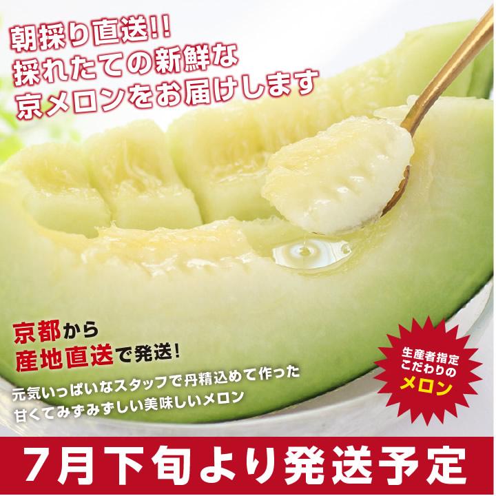 京都府産 京メロン メロン 約1.6~1.8kg 1玉入り 2Lサイズ 秀品 送料無料 産地直送 高田農園 砂丘メロン -S07G ブランドメロン :008234:山下屋荘介 - 通販 ...