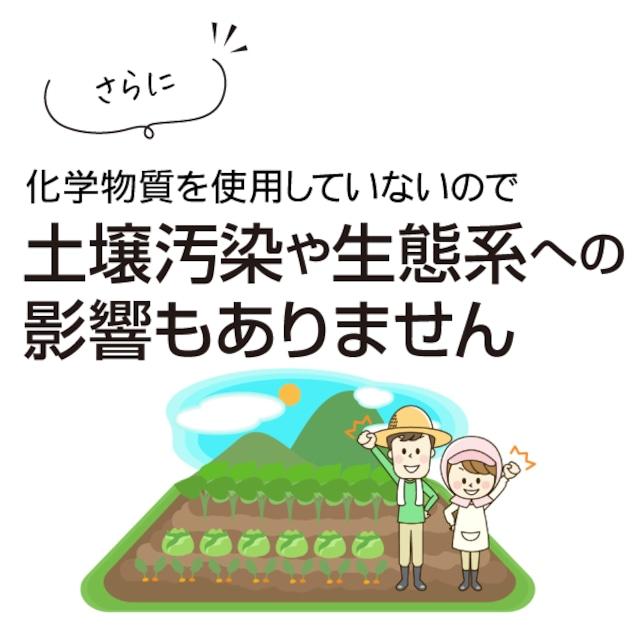 もぐらバイバイ6キロ 6L(3kg×2袋) 天然ヒトデ 忌避剤 マリンスター 業務用 海星 農家 甲殻類質特殊肥料 土壌改良 食害防止 もぐら モグラ 土竜 : 保冷剤とヒトデ忌避剤の ...