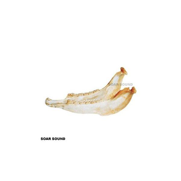 テージョ キハーダ （ ロバの下顎の骨 ） アンデス 楽器 TG-L08 体鳴楽器 打楽器 ヴィブラスラップ ビブラスラップ : SOAR ...