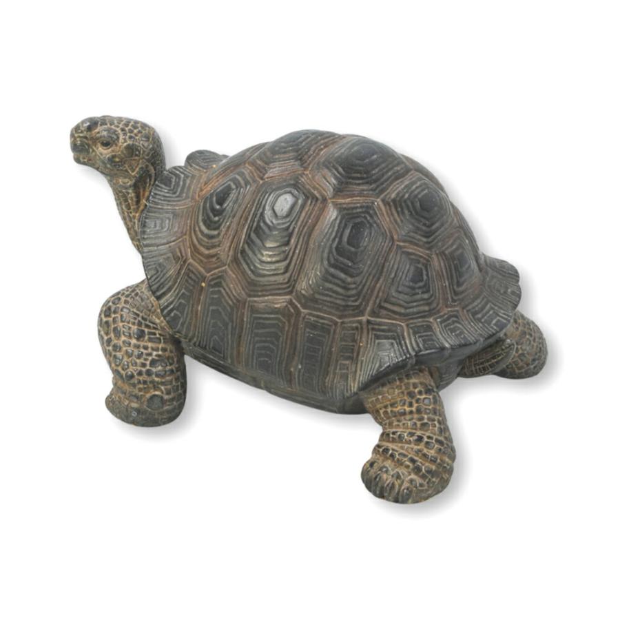 Woobia（ウービア）【カメ（小）】 (幅16.5×奥行12.8×高さ9.5cm） オーナメント＃4582756136272 : SOERU Yahoo!店 - 通販 - Yahoo!ショッピング