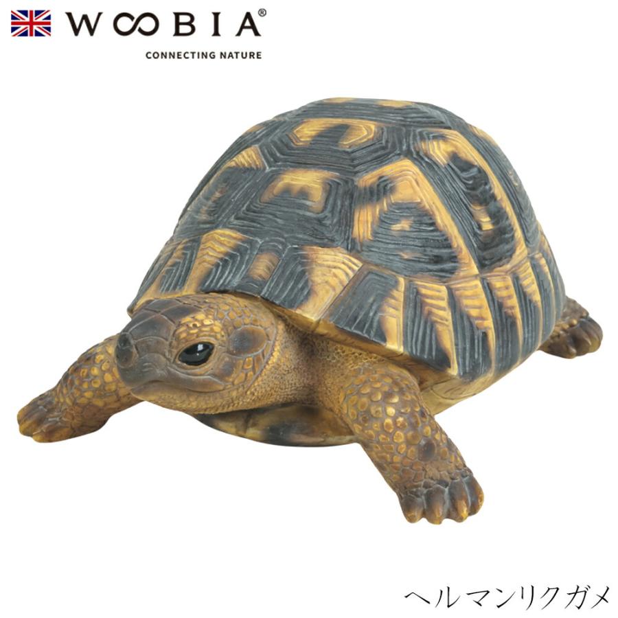 Woobia（ウービア）【ヘルマンリクガメ】 (幅17×奥行11.7×高さ7.7cm） オーナメント＃4582756136517 : SOERU Yahoo!店 - 通販 - Yahoo!ショッピング
