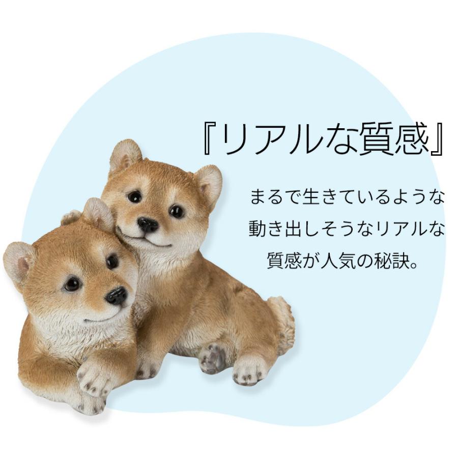 Woobia（ウービア）【横たわるサバトラ猫】 (幅34×奥行22.5×高さ19.5cm） オーナメント＃4582756136944 : SOERU Yahoo!店 - 通販 - Yahoo ...