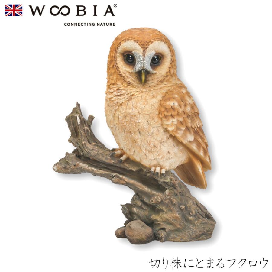 Woobia（ウービア）【切り株にとまるフクロウ】 (幅26×奥行14.5×高さ32cm） オーナメント＃4582756132533 : SOERU Yahoo!店 - 通販 - Yahoo ...
