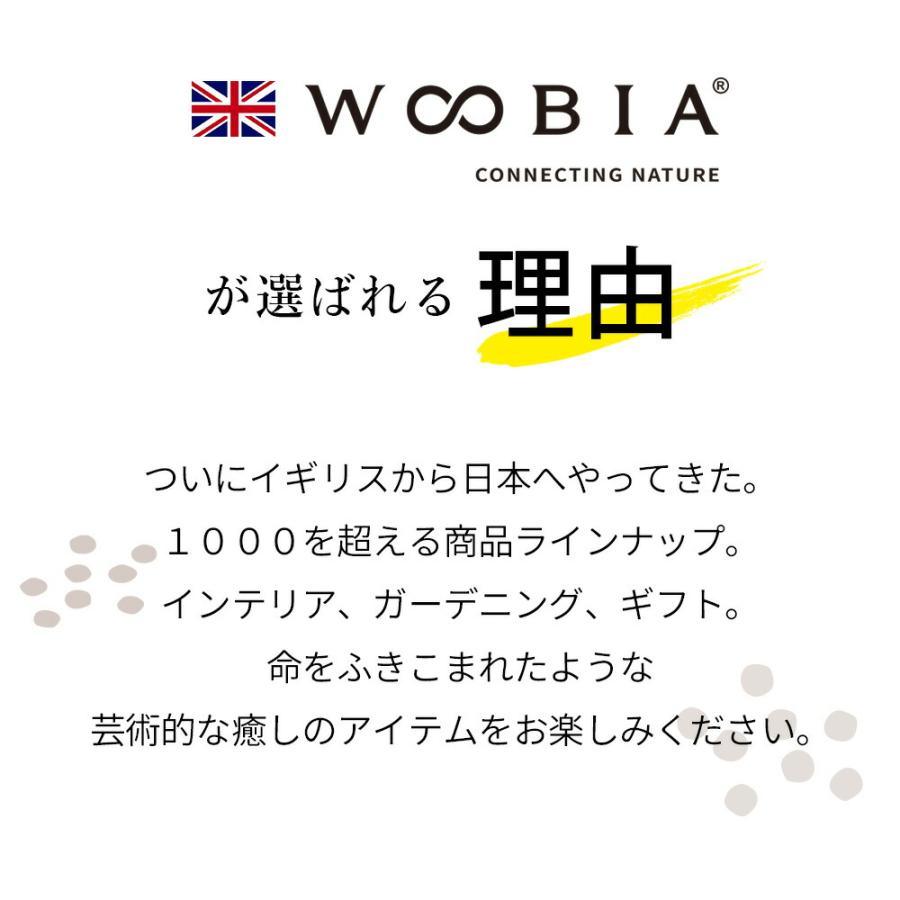 Woobia（ウービア）【クリーム色の子ロバ（小）】 (幅14×奥行6.3×高さ14.7cm） オーナメント＃4582756137392 : SOERU Yahoo!店 - 通販 ...