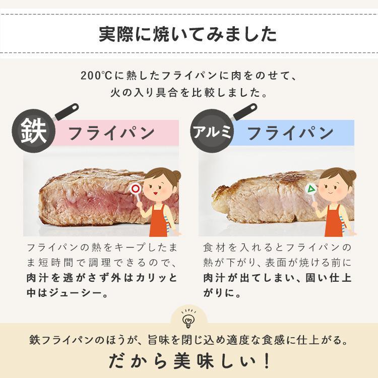 IRIS OHYAMA フライパン 29cm IH アイリスオーヤマ 鉄フライパン 肉厚タイプ SCPT-F29 : 家具インテリア館Yahoo!店 - 通販 - Yahoo!ショッピング