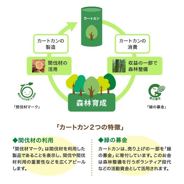 pokka sapporo ポッカサッポロ Green Pack Water 195g カート缶 60本 (30本入×2 まとめ買い) ウォーター グリーンパックウォーター カートカン 紙缶 ...