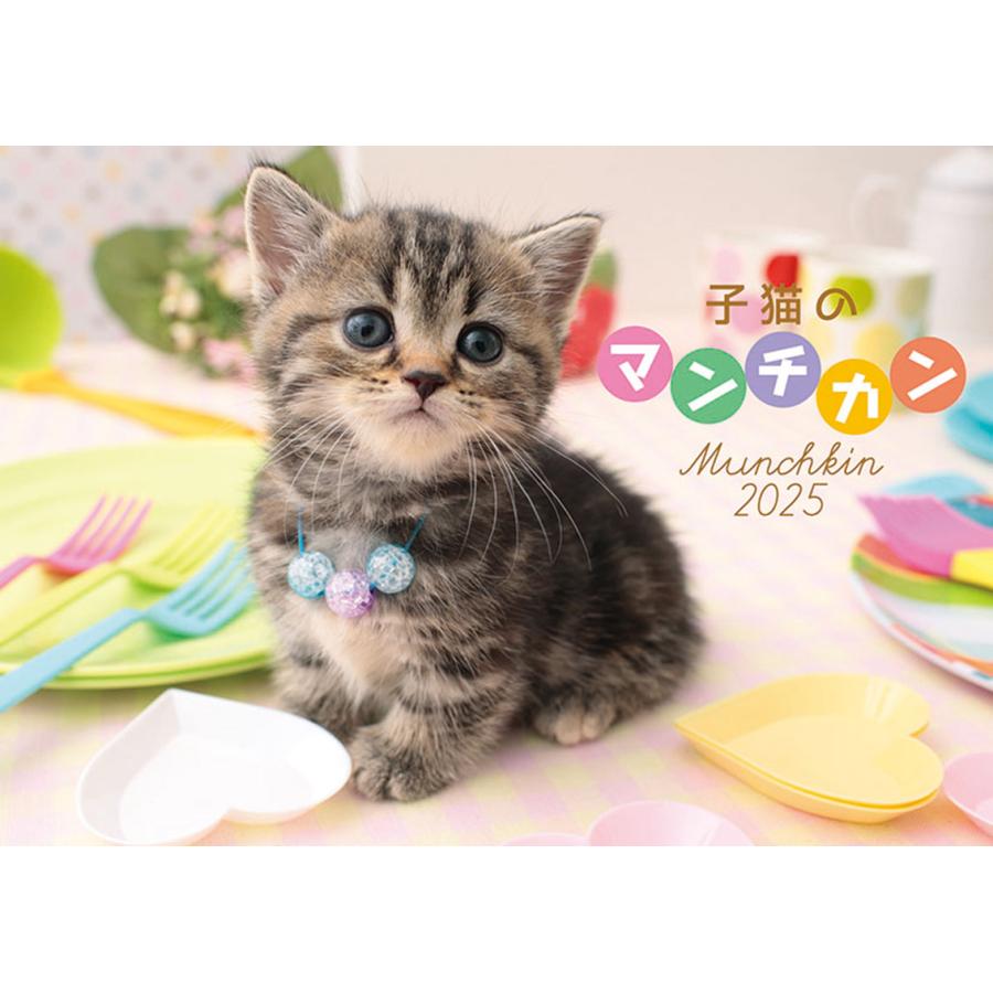 【残りわずか!!】子猫のマンチカン 2025年 壁掛けカレンダー CL-382 25CL-0382 : そふと屋 - 通販 - Yahoo ...