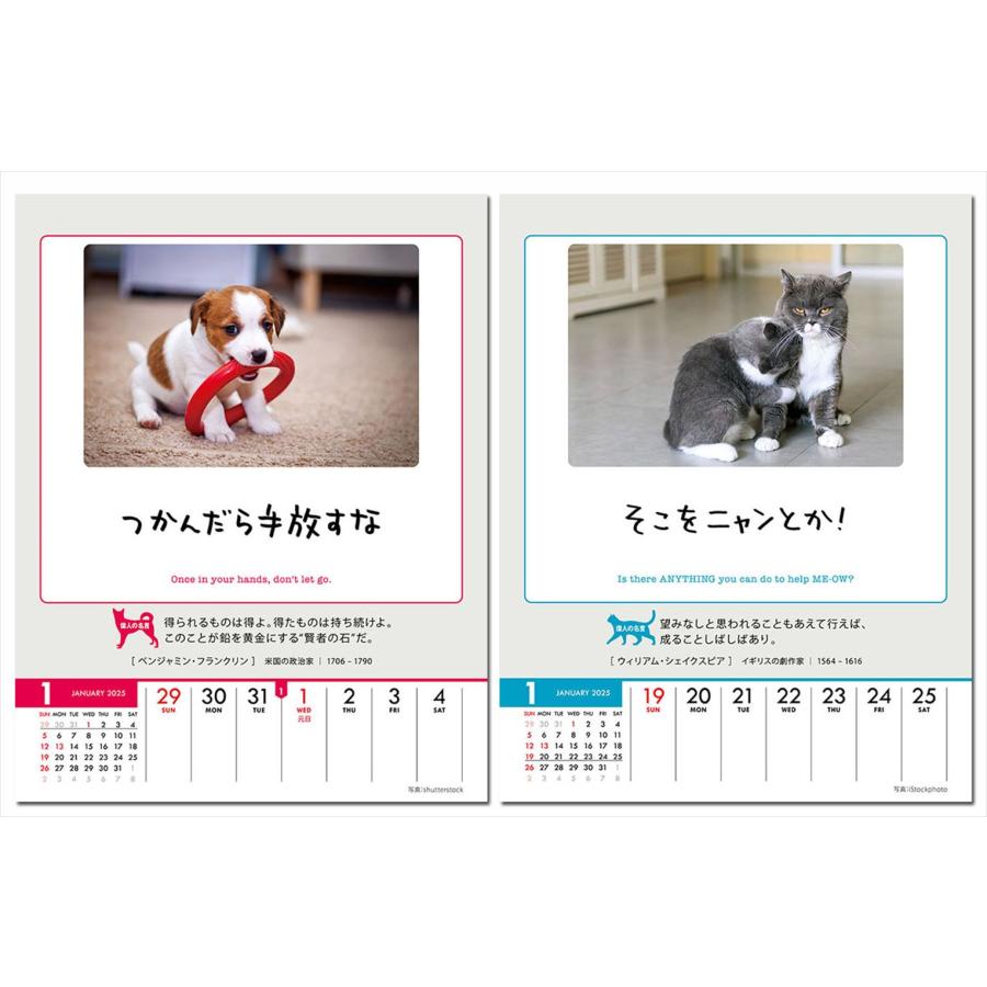 2024/9/28発売予定! 人生はワンチャンス！ / 人生はニャンとかなる！ 卓上/壁掛セット 2025年カレンダー 25CL-0383-0384 : 25cl-0383-0384 : そ ...