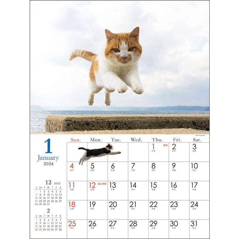 【おまけCL付】飛び猫 2026年 壁掛けカレンダー CL-402 CL26-402 : そふと屋 - 通販 - Yahoo!ショッピング