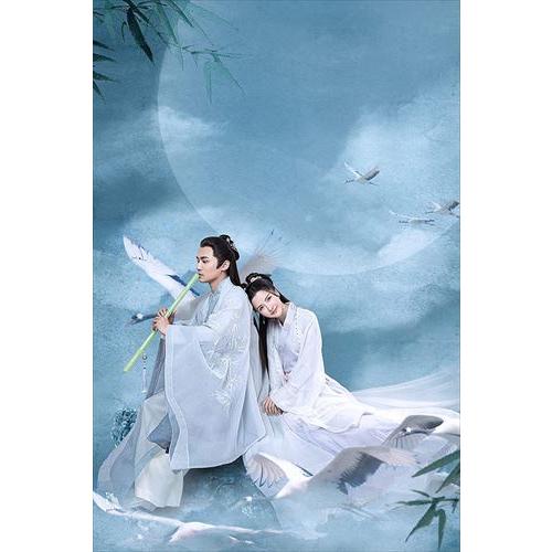 【おまけCL付】新品 雲間の月は輝きて 〜運命の恋人〜 DVD-BOX2 / (DVD) TCED6928-TC : tced6928-tc ...