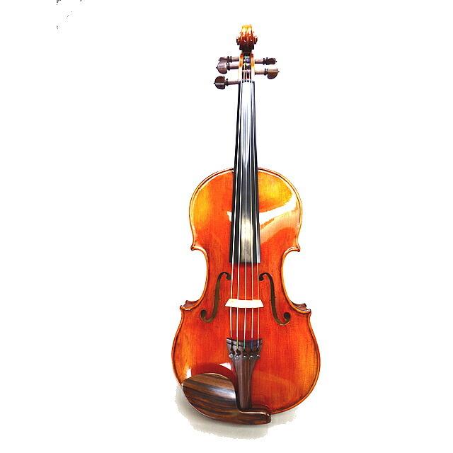 Luthier 5 String Viola 16 inch Rosewood Ft 5弦ビオラ(楽器単体販売品) : 底値楽器屋 - 通販 ...