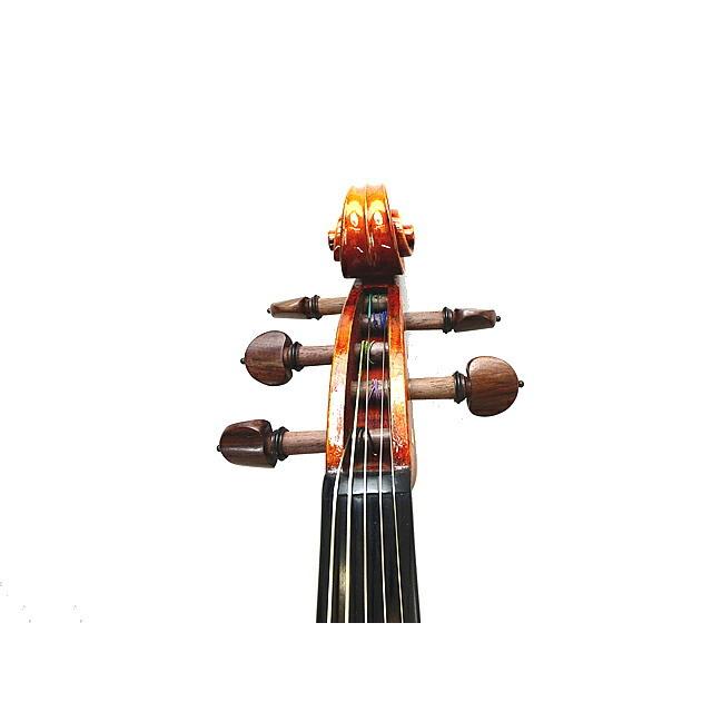 Luthier 5 String Viola 16 inch Rosewood Ft 5弦ビオラ(楽器単体販売品) : 底値楽器屋 - 通販 ...