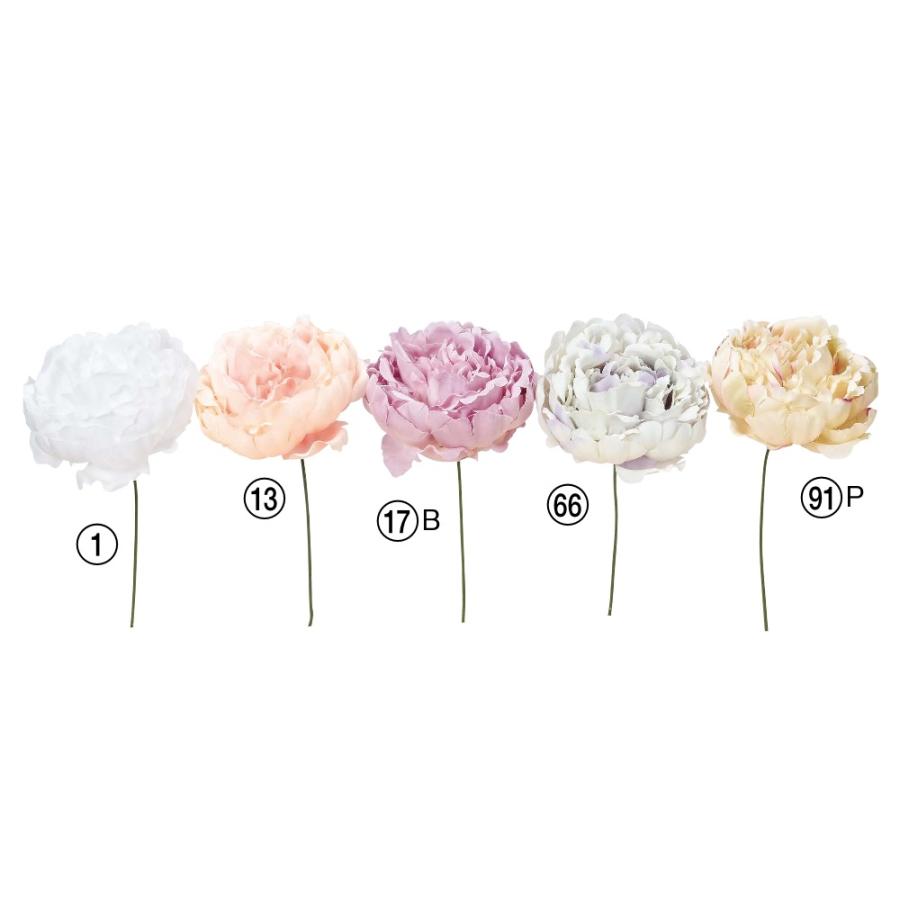 asca アスカ ピオニーピック ホワイト A-33950 4511255482603 :4511255482603:お花の贈り物そらーる - 通販 - Yahoo!ショッピング