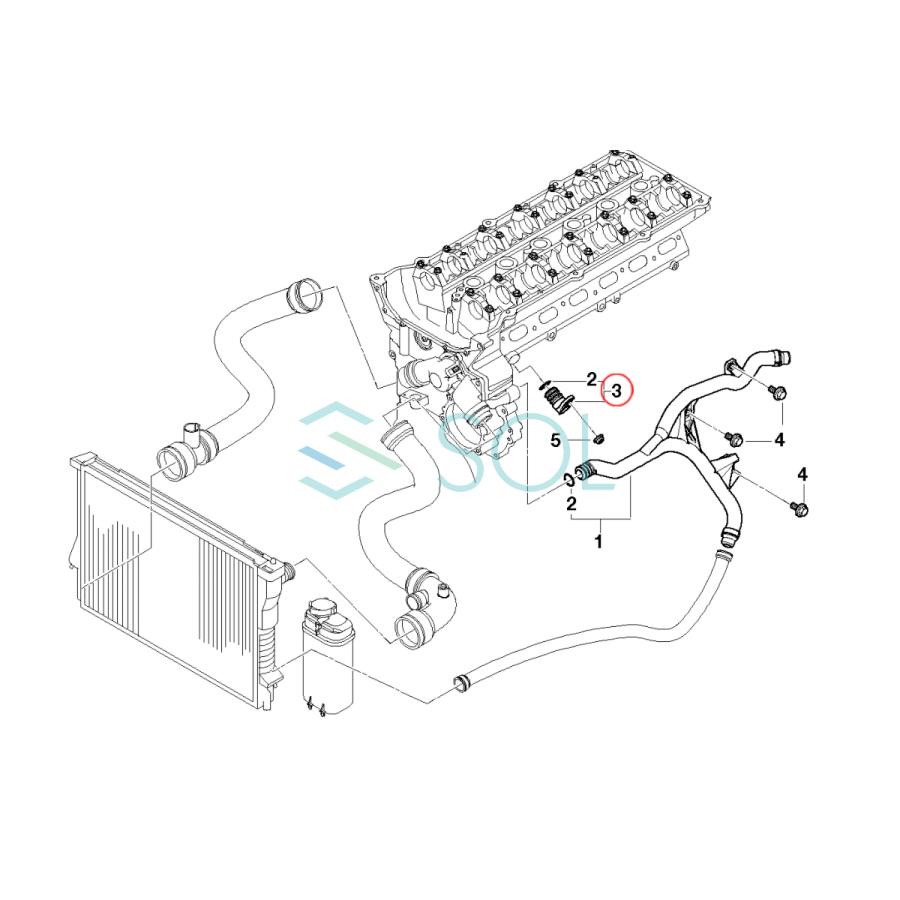 BMW BMW E60 E61 シリンダーヘッド ブラインドプラグ 525i 530i 11537519733 出荷締切18時 : 自動車 ...