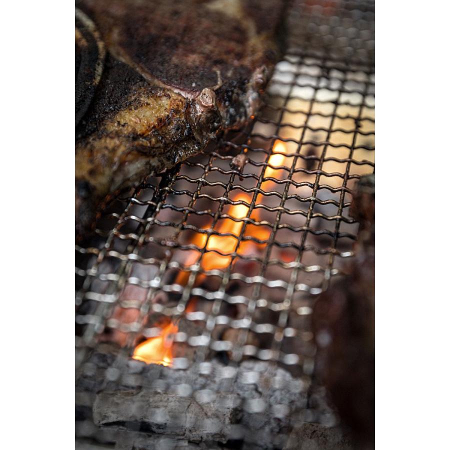 CAMPINGMOON キャンピングムーン CAMPING MOON クリップ金網 焚き火台 網 ソロ 焚火台 2-3人用 焼アミ 替え網 MT-035-W2 : SOLOGEAR Yahoo ...