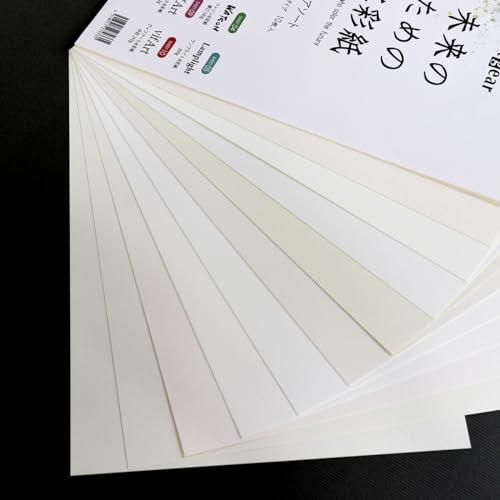 artgear 未来のための水彩紙 A4 50枚 ヴィフアール水彩紙 242g 細目 agp001 : SOLVERTEX - 通販 - Yahoo!ショッピング