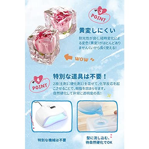 エポキシ樹脂 - 二液性レジン液 大容量530g/16oz ハードタイプ エポキシレジン セット DIY 手芸用品 レジンアート、レジンアクセサ : SOLVERTEX - 通販 ...