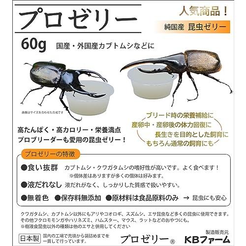 KBファーム プロゼリー60g 12個入り 高たんぱく カブトムシ・クワガタ用 : SOLVERTEX - 通販 - Yahoo!ショッピング