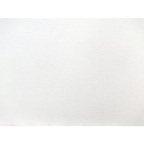 オリオン 画用紙 水彩紙 A4 シリウス水彩画紙 特厚口 220g 50枚入り A4（297mm×210mm） : zae1848f97d4 : SOLVERTEX - 通販 - Yahoo ...