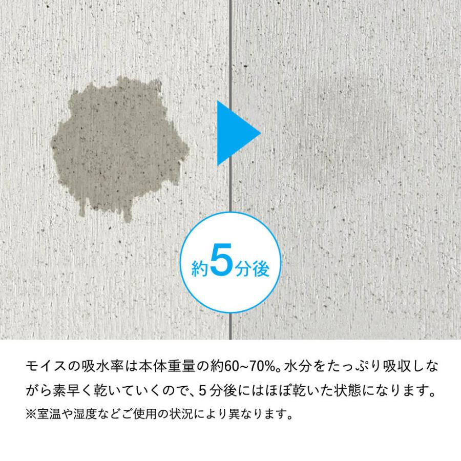 be worth style 水切りトレイ モイストレイ 突っ張りタイプ KAWAKI カワキ ST-345002S/水切りラック シンク渡しタイプ 専用トレイ 珪藻土 ビーワースセレクション ...