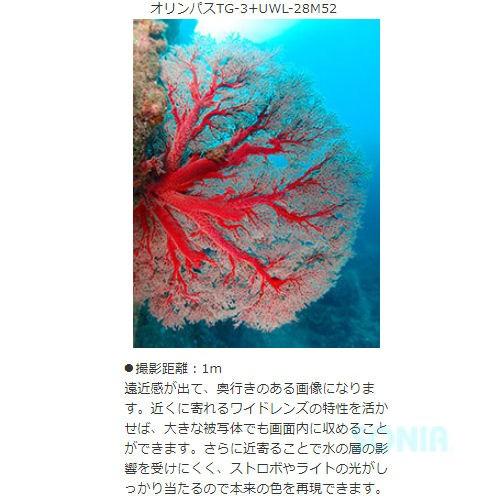 fisheye（フィッシュアイ） 21063 FIX フィッシュアイコンバージョン