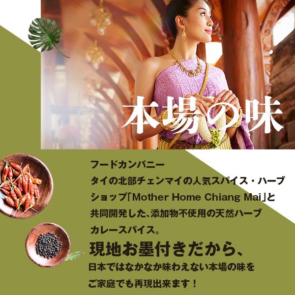 本場仕立てのグリーンカレー スパイス 100g : 満天屋-MANTENYA - 通販 - Yahoo!ショッピング