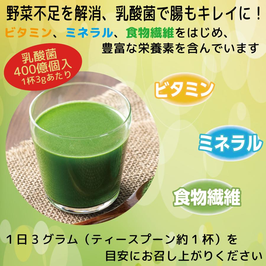 SOOKI 定期購入で10％off！ 大麦若葉 青汁 粉末 個包装 乳酸菌 オーガニック 葉酸 有機 JAS ソーキ 乳酸菌入りニュージーランドの大麦若葉 3g×30包 ハロウィン : ソーキ ...