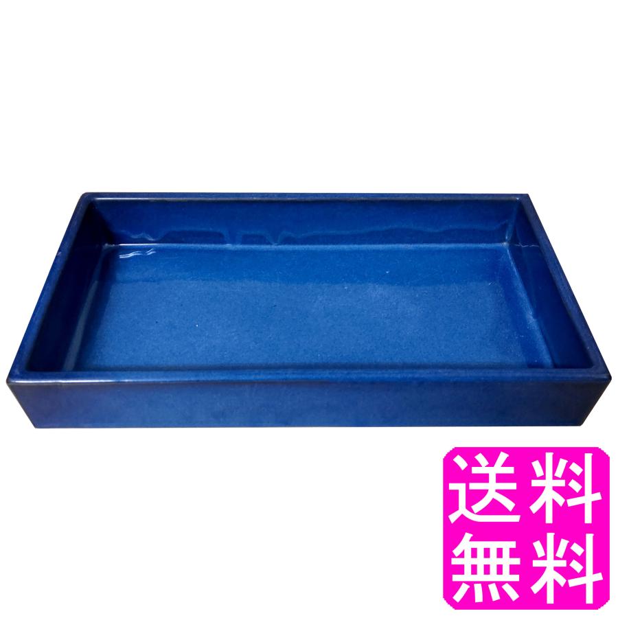 ポイント消化 送料無料 500円 【数量限定】 P&G アリエール プロクリーン 67g 1袋 洗剤 洗たく用洗剤 液体洗剤 : r-0000000000052 : 送料無料的商店 - 通販 ...