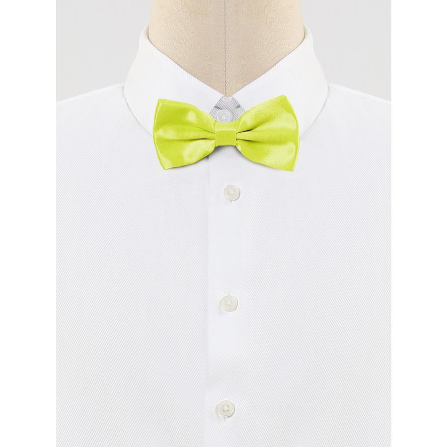 Allegra K ボウタイ 蝶ネクタイ リボン フォーマル 結婚式 入学式 大人 調節可能 無地 メンズ グリーン Free Size : ソウテン2号店 - 通販 - Yahoo!ショッピング