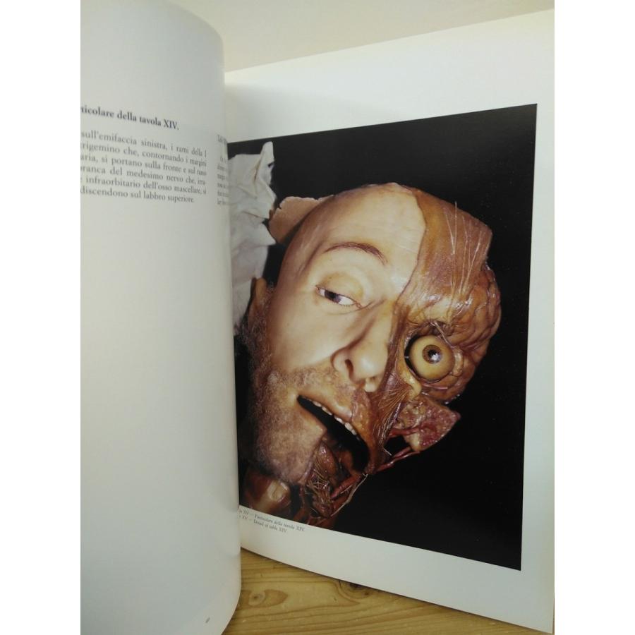 Le Cere Anatomiche di Clemente Susini dell'Universita Cagliari C:並 ...