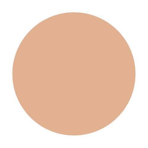 d プログラム 薬用 スキンケアファンデーション (リキッド) N OC20 ( 30g )/ プログラム(d program) : 爽快ドラッグ - 通販 - Yahoo!ショッピング