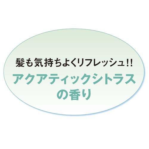 シーブリーズ コンディショナー ジャンボサイズ ( 600ml )/ : 爽快