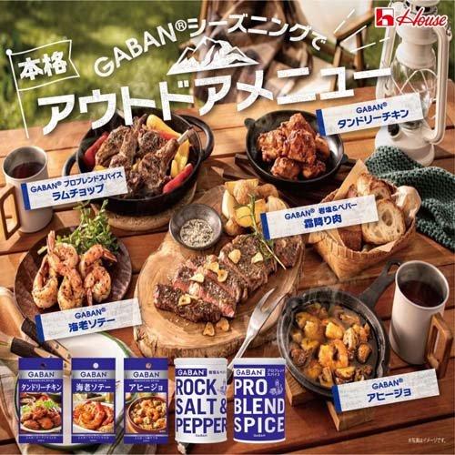 ギャバン 岩塩＆ペパー ( 90g )/ ギャバン(GABAN) : 爽快ドラッグ - 通販 - Yahoo!ショッピング