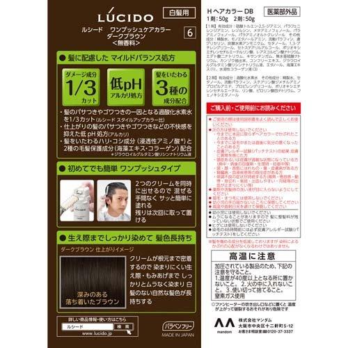ルシード ワンプッシュケアカラー 6 ダークブラウン ( 50g+50g