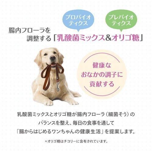 Supergold おなかラボ 成犬用 ( 800g )/ morinaga : 爽快ドラッグ - 通販 - Yahoo!ショッピング