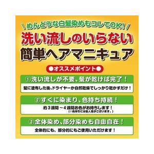 カミクローネ(DB) 自然な黒褐色 ( 80ml )/ カミクローネ 白髪隠し