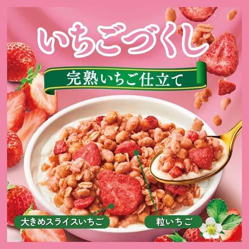 ごろグラいちごづくし ( 320g×6セット )/ ごろっとグラノーラ : 爽快ドラッグ - 通販 - Yahoo!ショッピング
