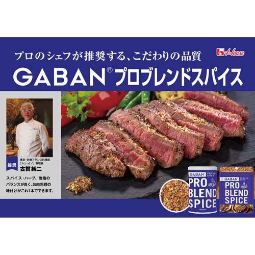 GABAN プロブレンドスパイス 袋入り ( 17g×2セット )/ ギャバン(GABAN) : 爽快ドラッグ - 通販 - Yahoo!ショッピング