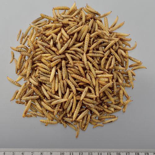 RepDeli バグプレミアム ( 45g×18セット ) : 爽快ドラッグ - 通販 - Yahoo!ショッピング