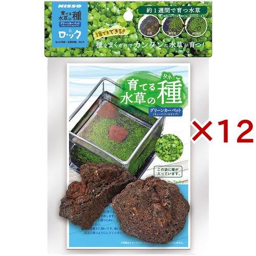 ニッソー 育てる水草の種 グリーンカーペット＆ロック ( 12セット )/ NISSO(ニッソー) : 爽快ドラッグ - 通販 - Yahoo!ショッピング