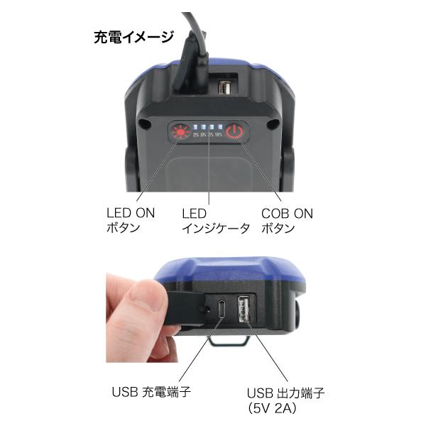 DENSAN LEDパランドルRX(充電式・ツインアイタイプ) PLRX-8M ジェフコム デンサン : 創工館 - 通販 - Yahoo!ショッピング