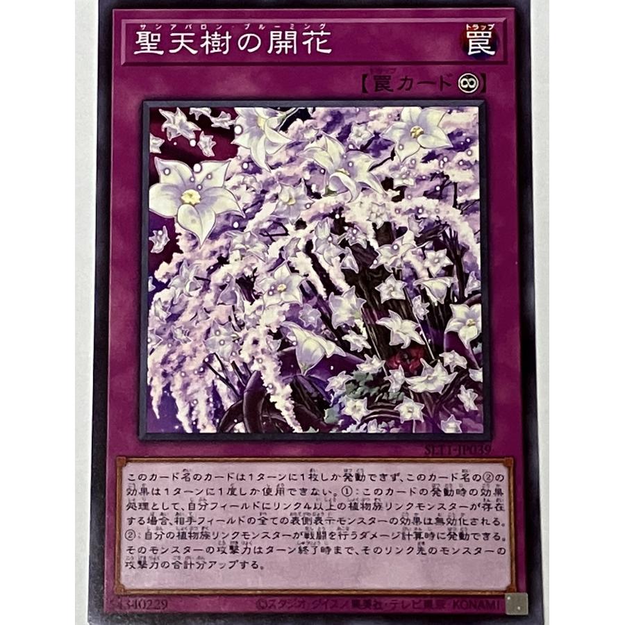 遊戯王 ノーマル 罠 1枚 聖天樹の開花 SLT1 : スマイルカード - 通販 - Yahoo!ショッピング