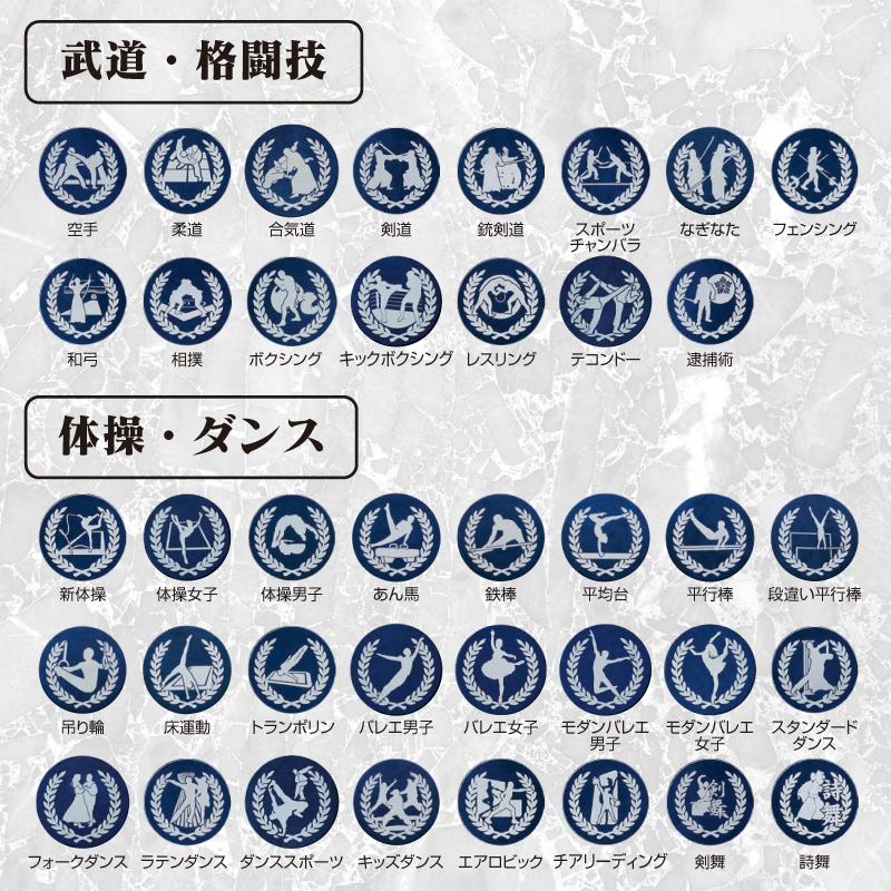 rt-3249 Cサイズ 高さ37.0cm トロフィー 表彰用 記念品 彫刻代無料 最安値 : rt-3249-c : 表彰品・記念品・贈り物 ...