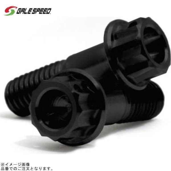 GALE SPEED ゲイルスピード 29300106 ブリッジボルトセット SCM435(Elaborate フロント2P ...