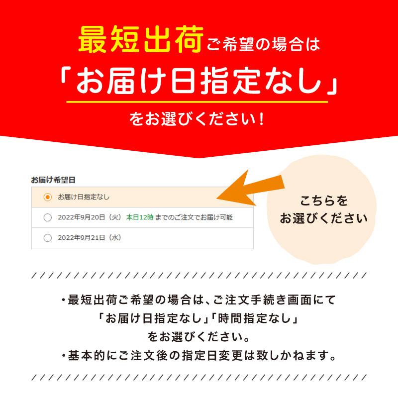 IP select×Garage Minato 投球トレーニング用品 FLECHA（フレーチャ） :flecha:スポコバYahoo!店 - 通販 - Yahoo!ショッピング