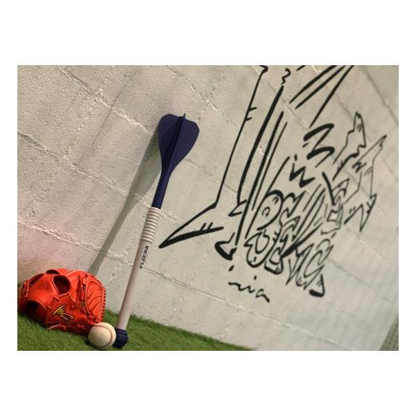 野球 フレーチャ FLECHA トレーニング Ip select アイピー セレクト 自主トレ 家トレ :ip9000:スポーツアジリティー - 通販 - Yahoo!ショッピング