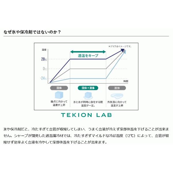 DESCENTE コアクーラー2セット（両手用2組）TEKION LAB 夏の暑さ対策は手のひらを冷やせ！ デサント DAT-9100S2 : スポーツガイドonline - 通販 ...