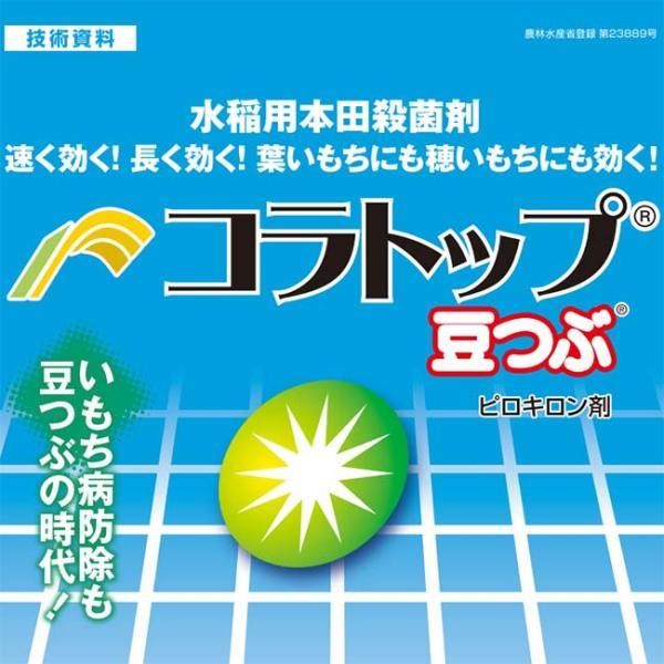 殺菌剤 コラトップ豆つぶ 250g 稲 いもち病 もみ枯細菌病 防除 農薬 薬剤 シンジェンタ【2025年10月期限切れ】 : エスエスネット - 通販 - Yahoo!ショッピング